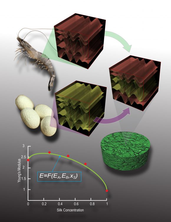 New Published Paper in ACS Biomacromolecules | David Salas-de la Cruz | Rutgers University